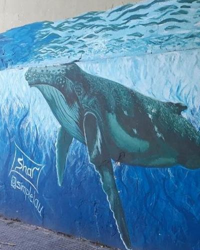 Sitio oficial de turismo de la Ciudad de Buenos Aires